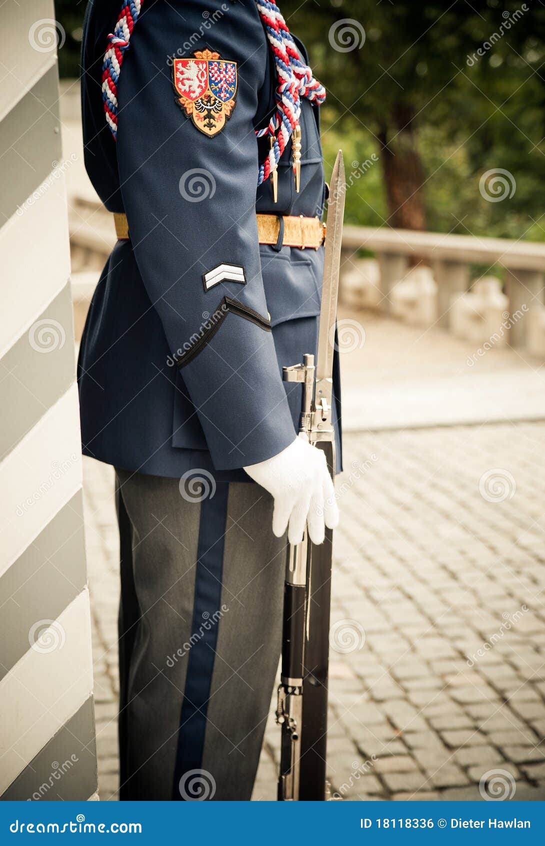 Guard with Rifle editorial photo. Image of side, insignia - 18118336