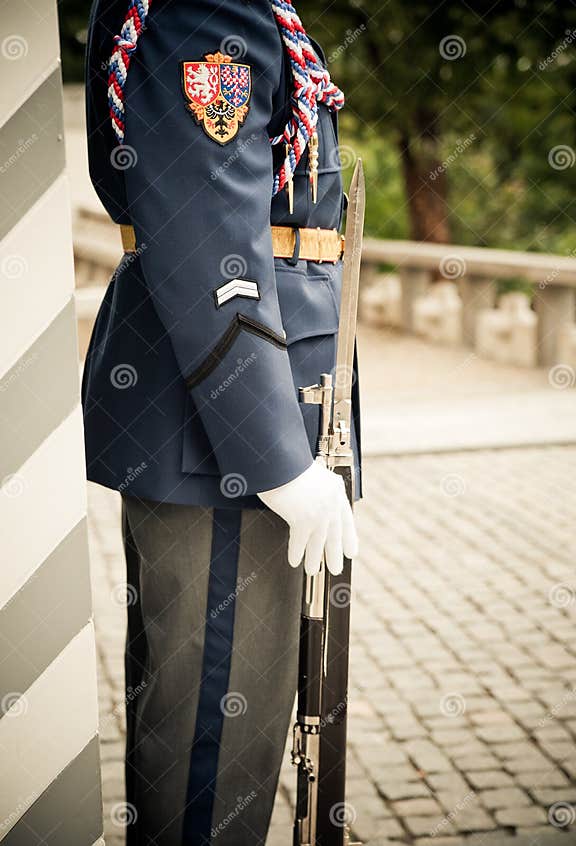Guard with Rifle editorial photo. Image of side, insignia - 18118336