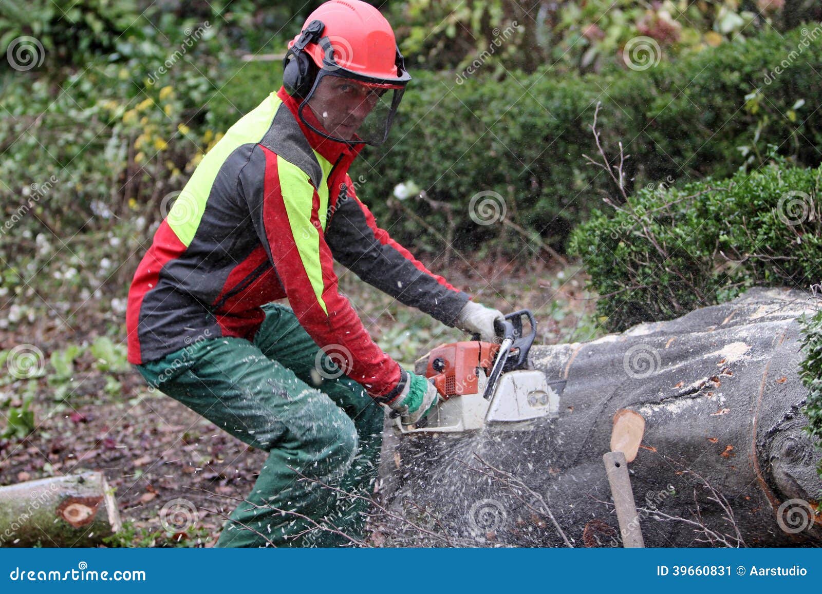 Guarda Florestal No Trabalho Imagem de Stock - Imagem de ambiente ...
