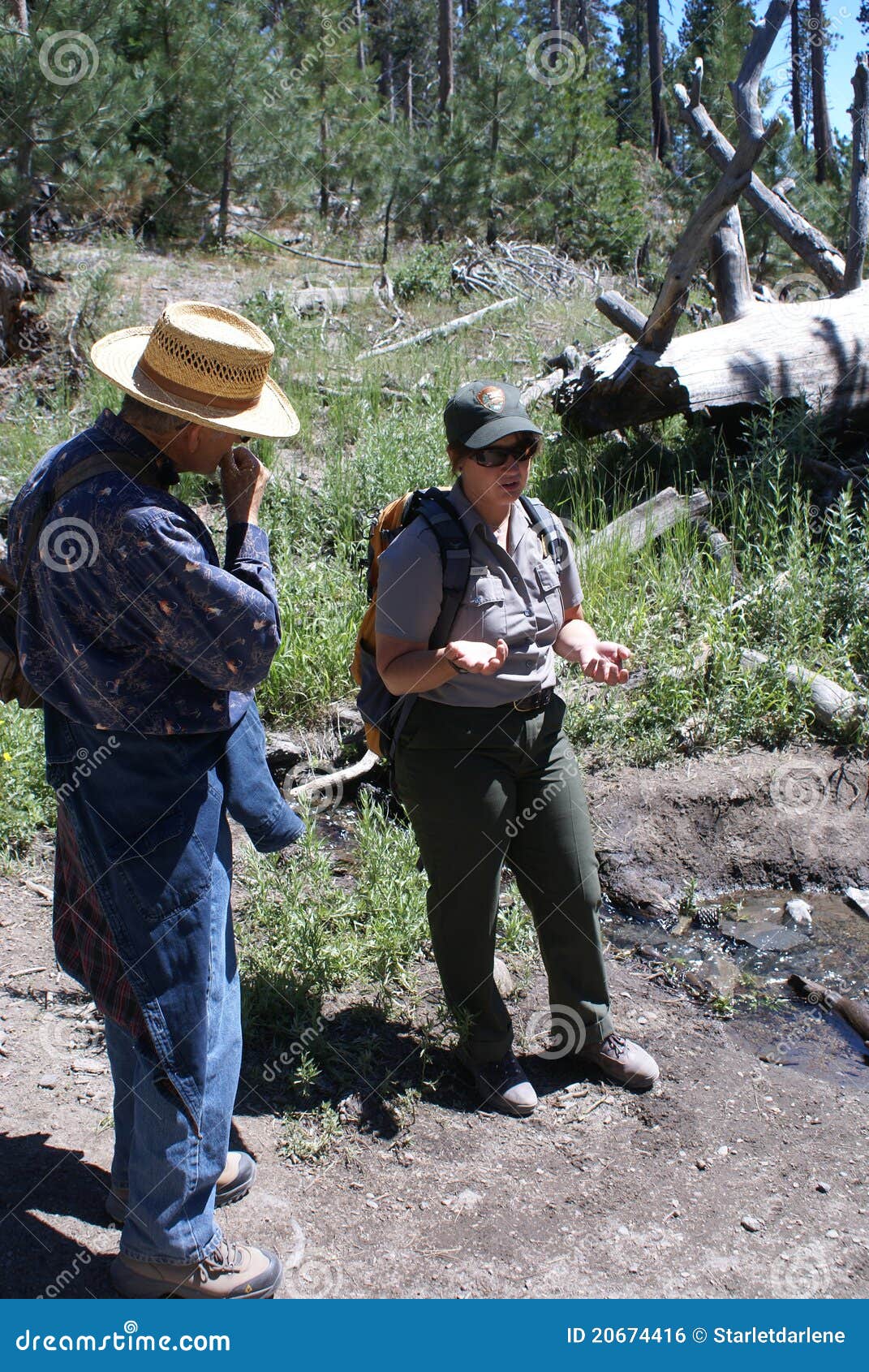 Guardabosques Gigantesco Del Bosque De Los E.E.U.U. Foto editorial ...
