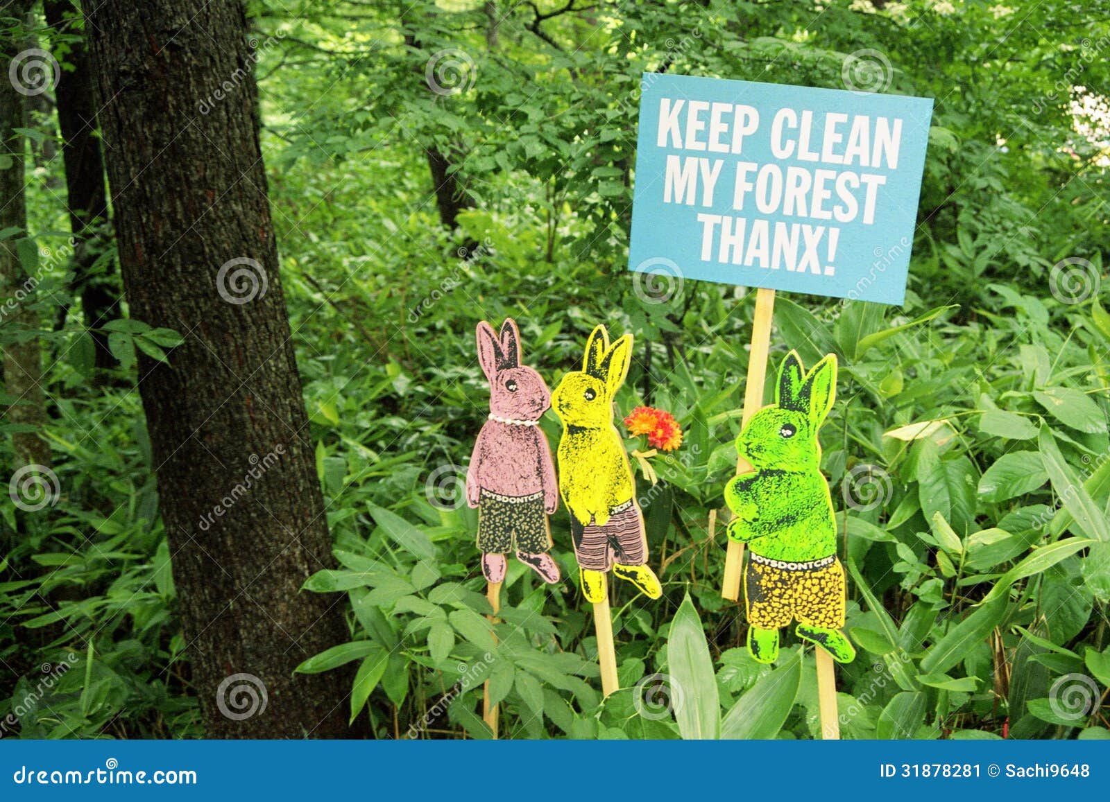 Guarde el bosque limpio imagen de archivo. Imagen de grazias - 31878281