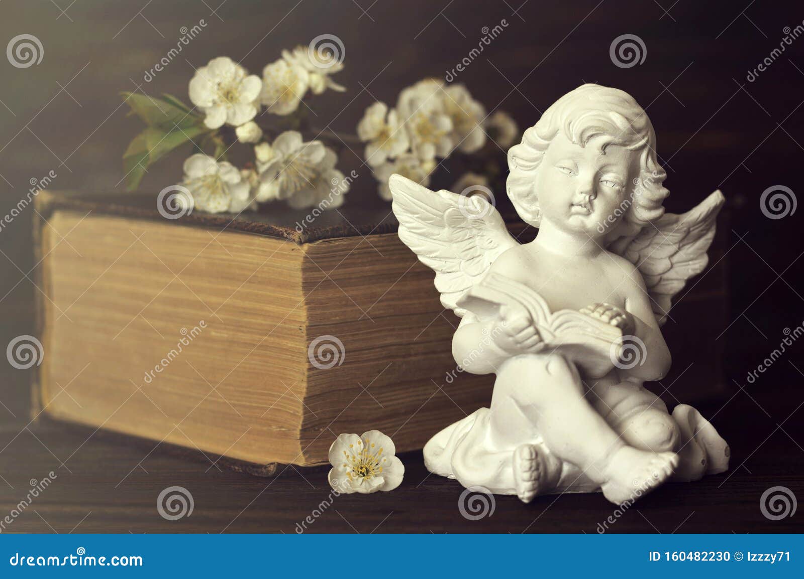 Guardian Angel, Spring Flowers and Book Stock Photo - Image of memorial ...
