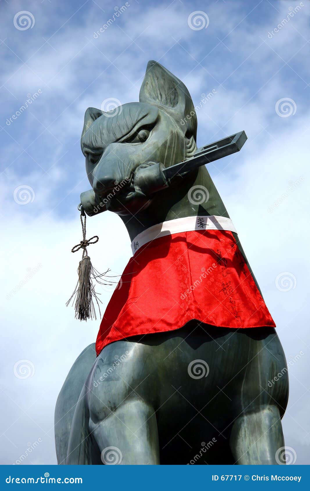 Guardian Cat Picture. Image: 67717