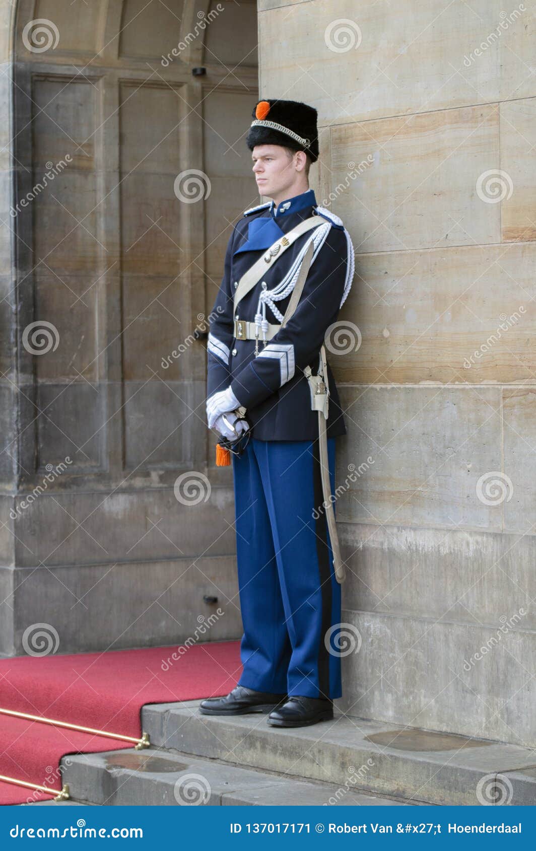 Guards Changing at the New Years Reception from the King of the ...