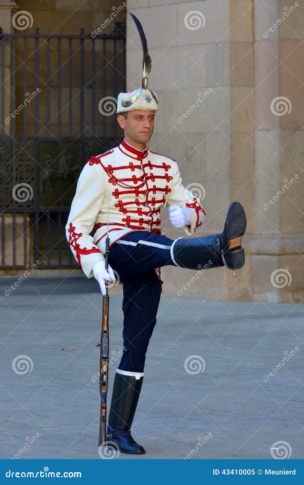 Guards of Honor editorial image. Image of famous, guards - 43410005