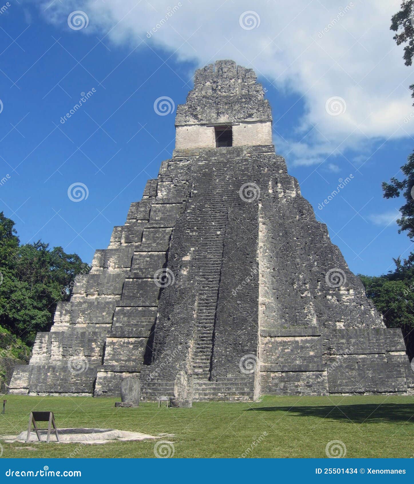 Tikal Temple In The Jungle Stock Photography | CartoonDealer.com #138927590