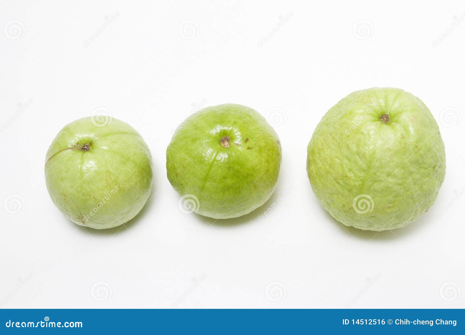 Guava stock photo. Image of health, background, white - 14512516