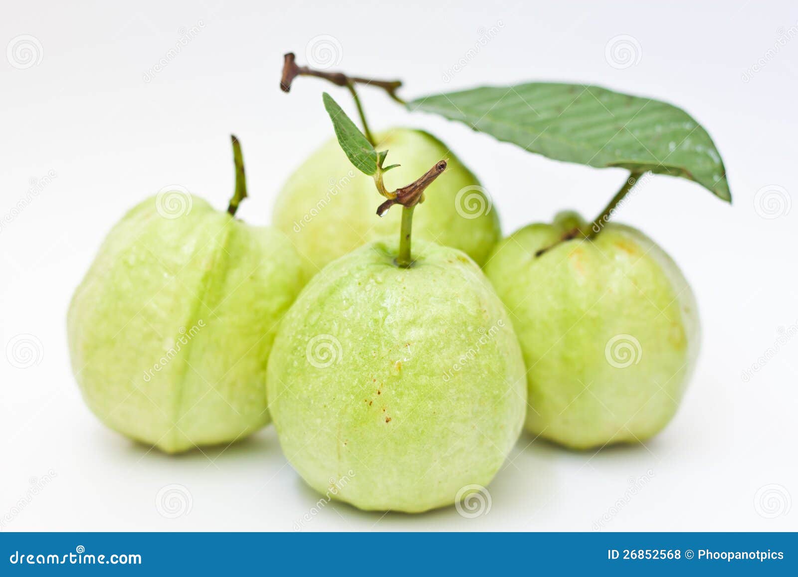 Guava stock photo. Image of nature, closeup, natural - 26852568