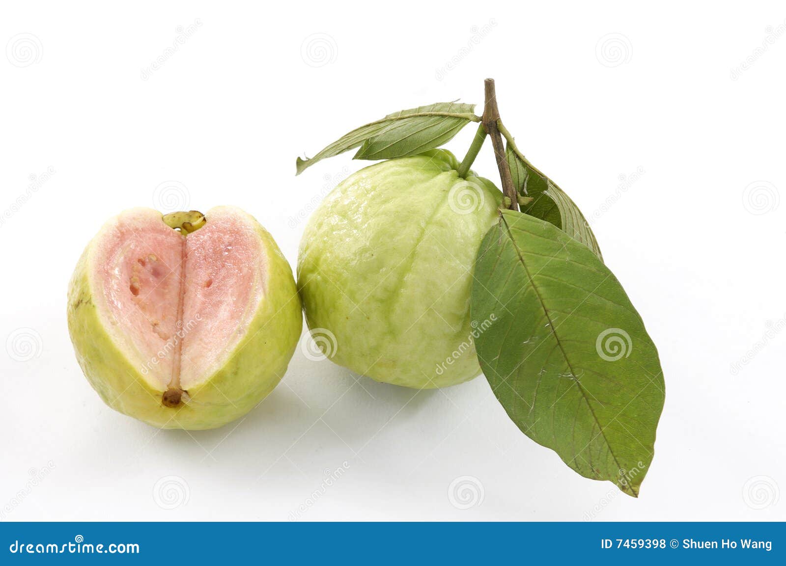 Guava stock photo. Image of exotic, object, product, background - 7459398
