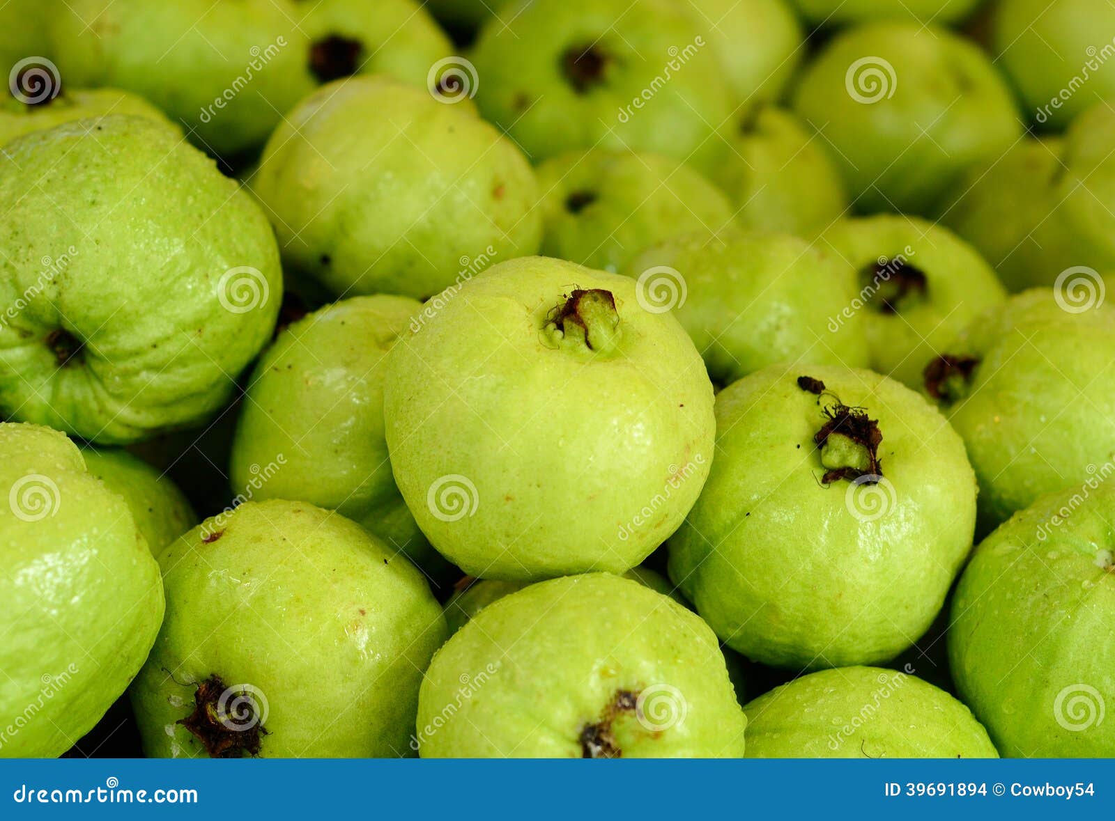 Guava stock photo. Image of vegetate, cook, vegetarian - 39691894