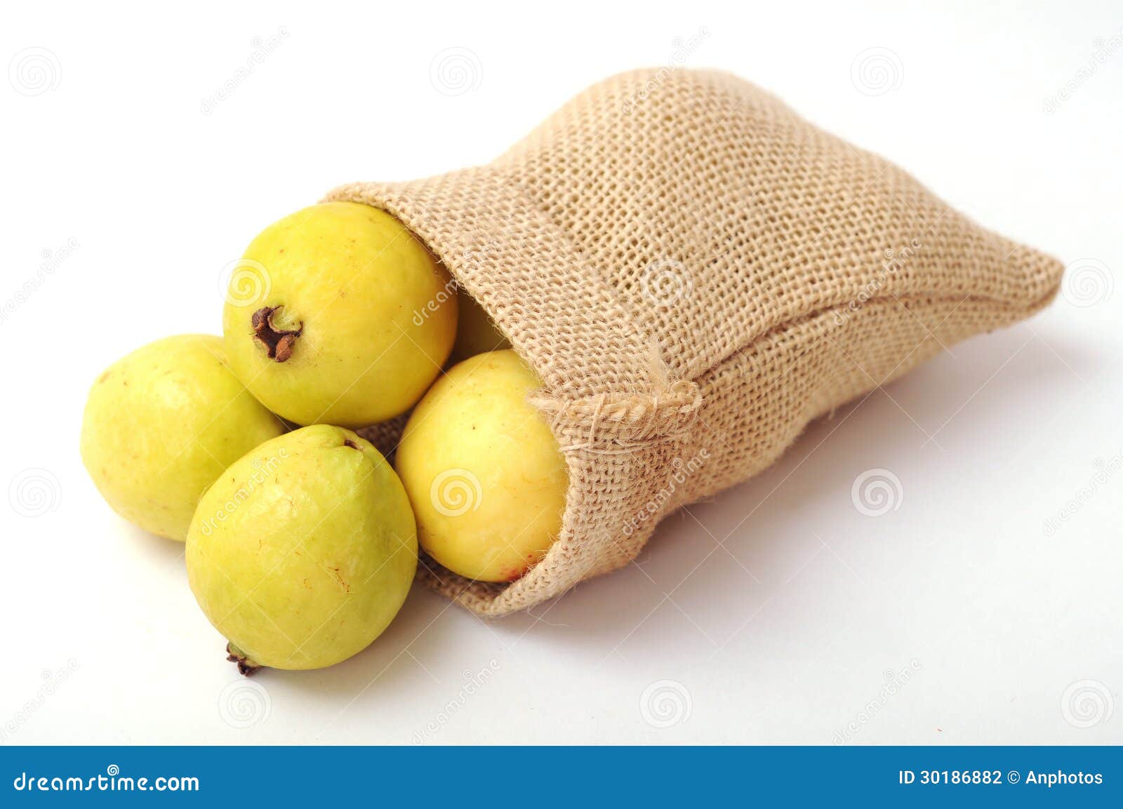 Guava in burlap bag stock photo. Image of burlap, fresh - 30186882
