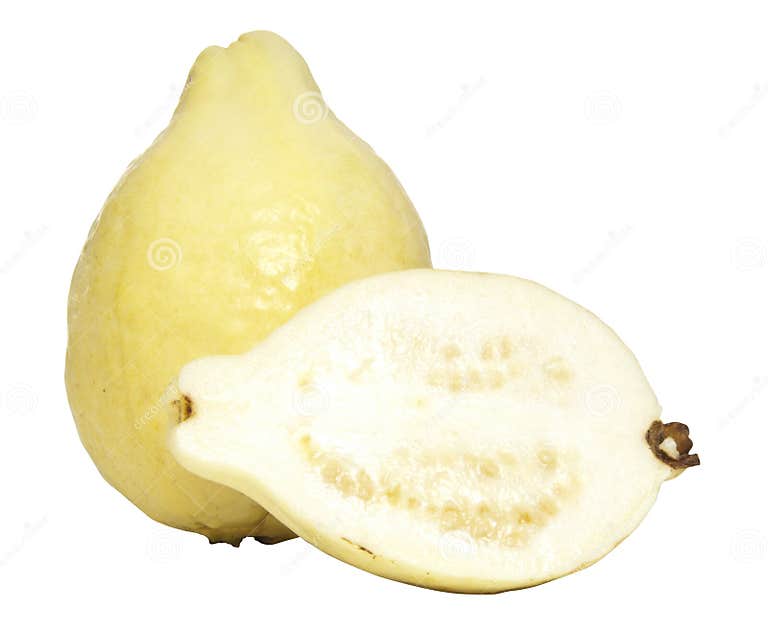 Guava Fruit and a Half stock photo. Image of cutout, guava - 18271148