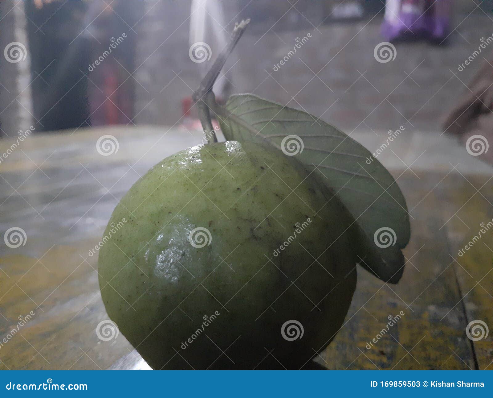 Guava fruit of india stock image. Image of india, fruit - 169859503