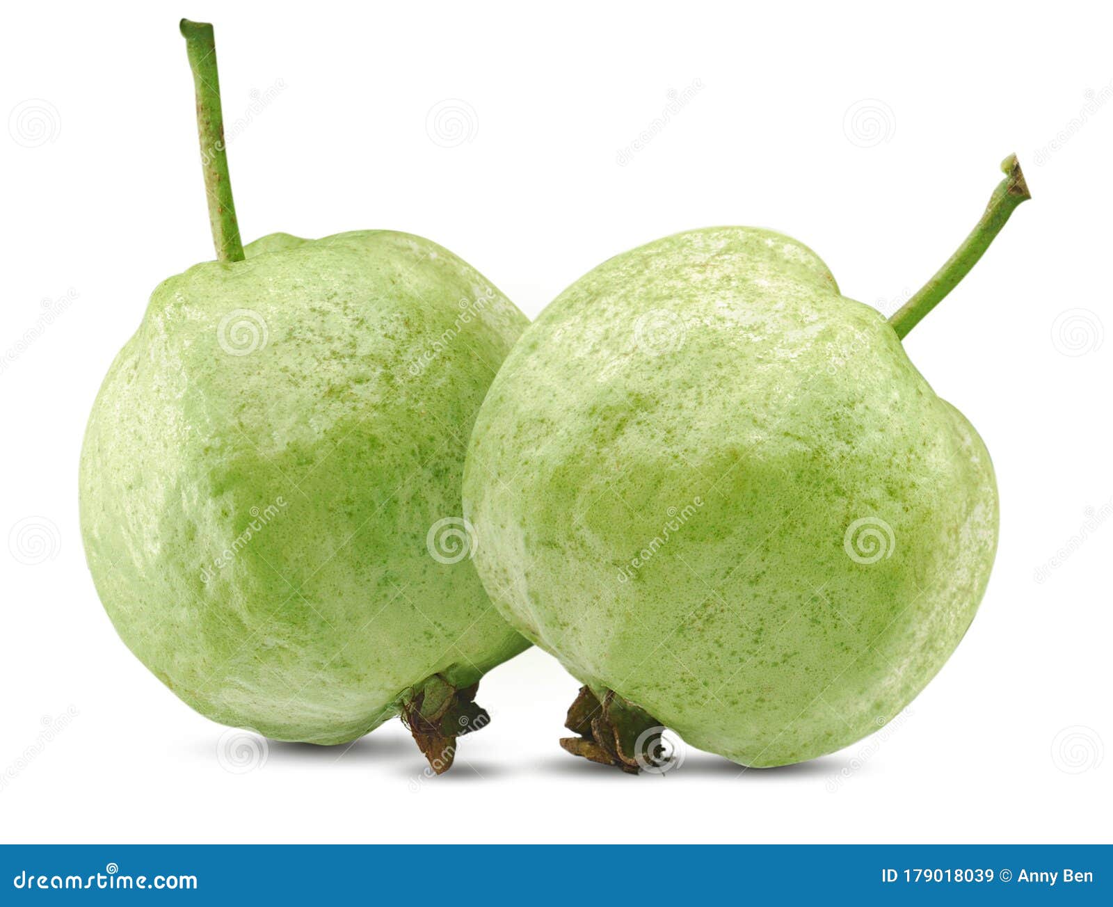 Guava Fruit Isolated on White Background Stock Image - Image of fresh ...