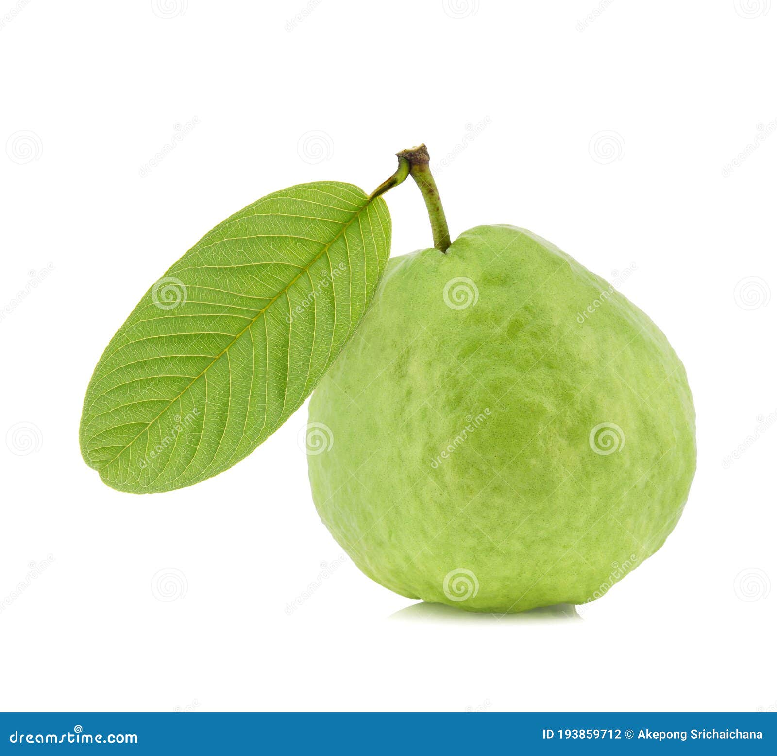 Guava Fruit Isolated on White Background Stock Photo - Image of fresh ...