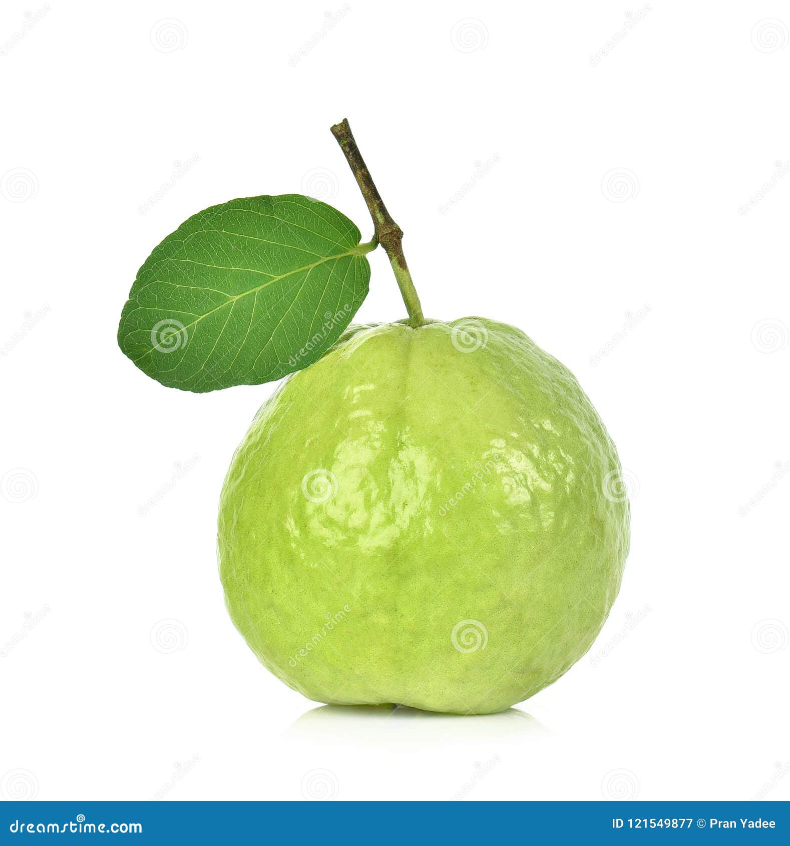 Guava Fruit Isolated on White Background. Stock Image - Image of ...