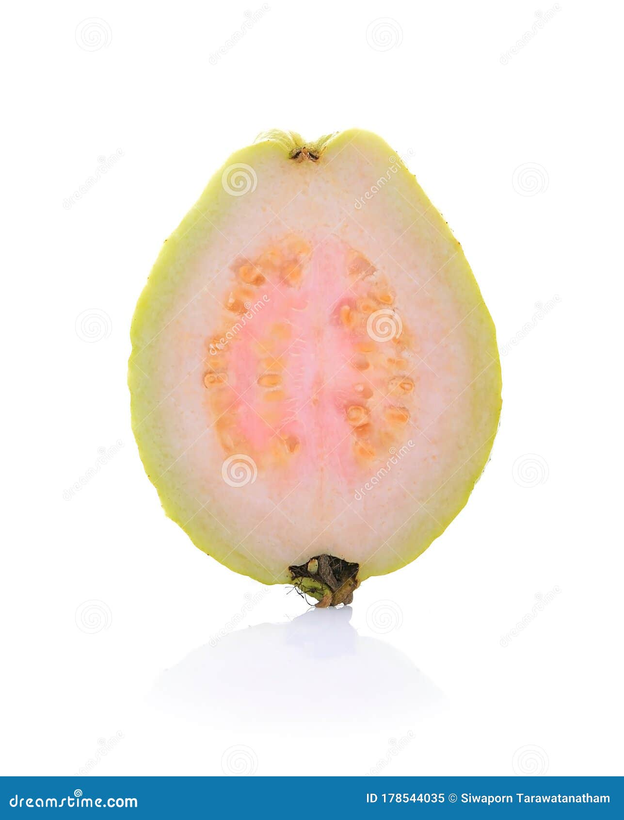 Guava Fruit Isolated on White Background Stock Image - Image of ...