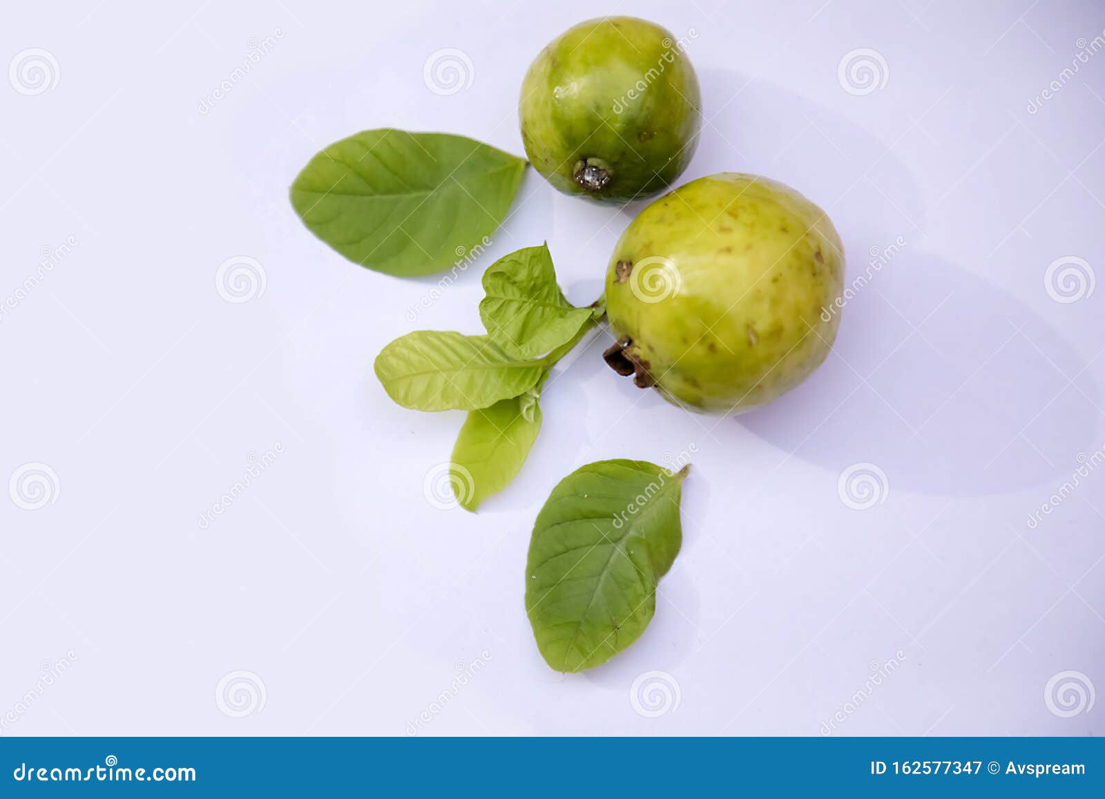 Guava Fruit with Leaves Isolated on the White Background. Stock Image ...