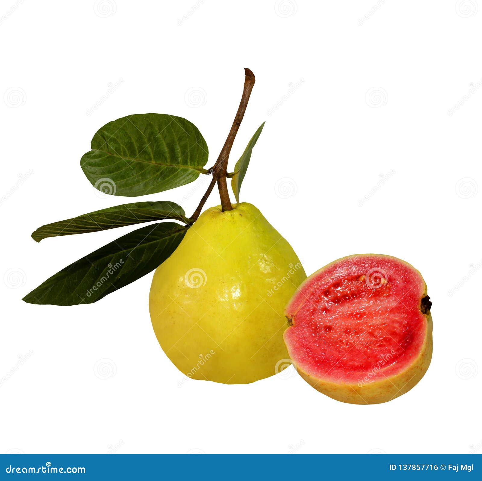 Guava Fruit with Leaves on White Isolated Stock Photo - Image of guava ...