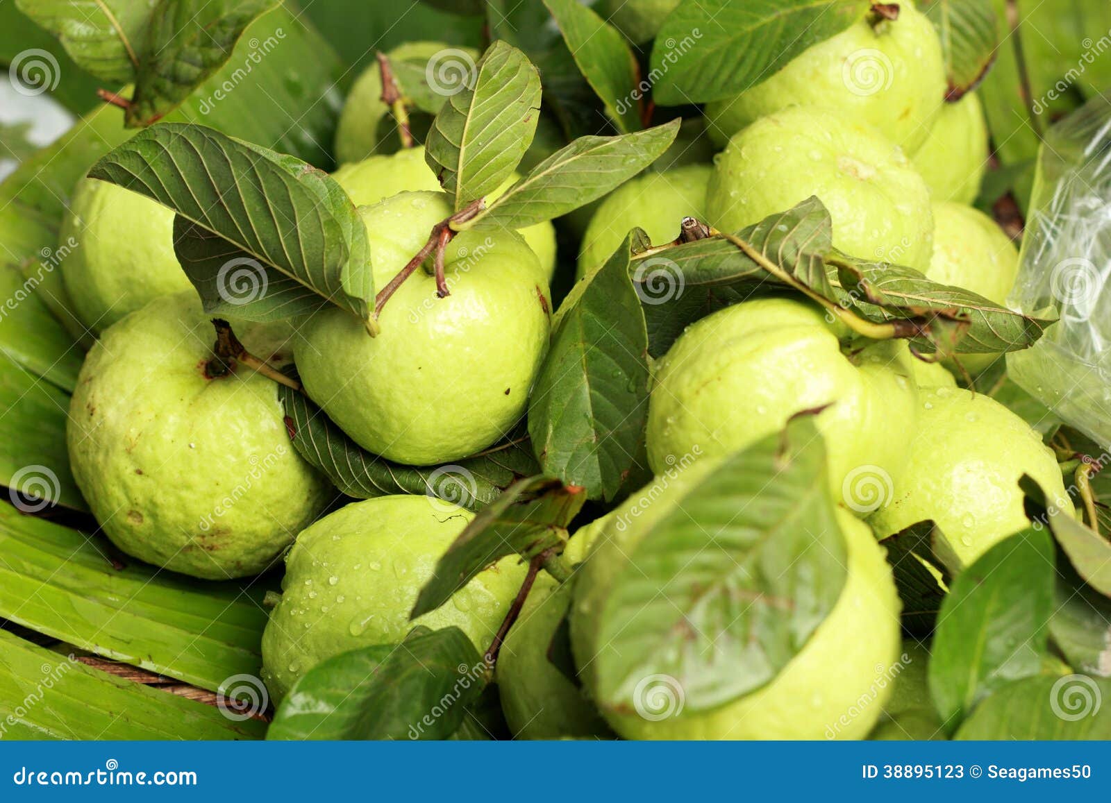 Guava fruit in the market stock image. Image of beautiful - 38895123