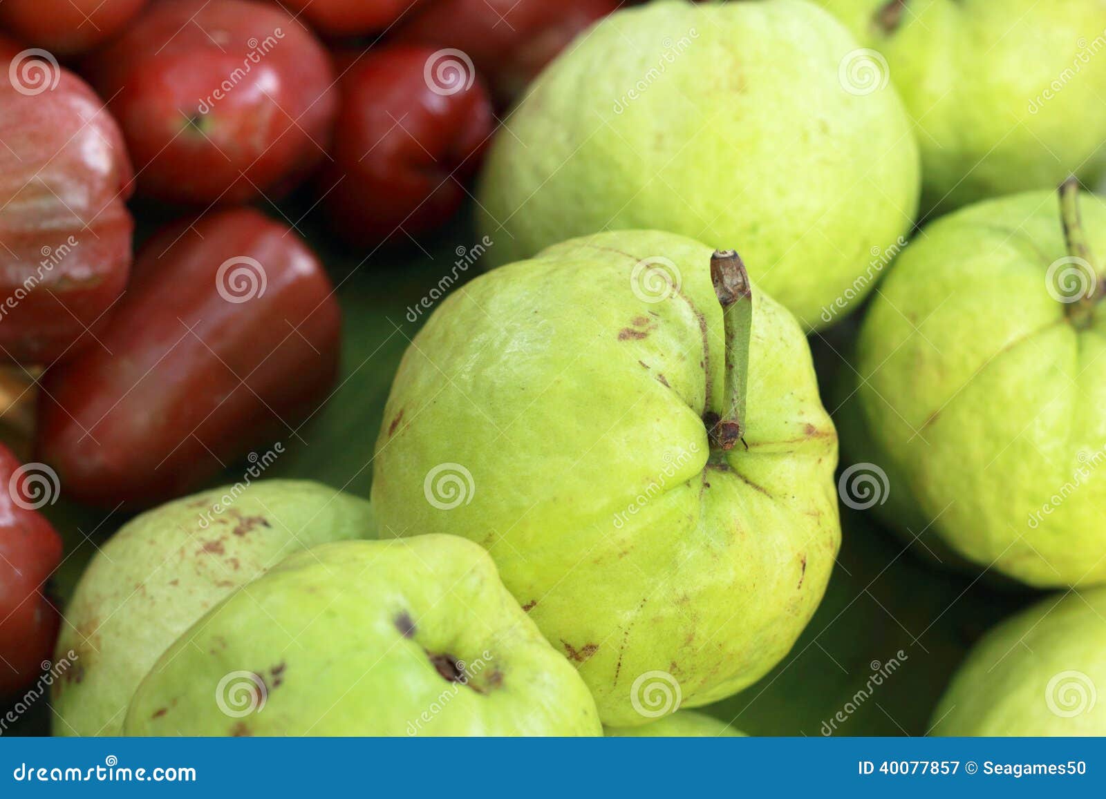Guava fruit in the market stock image. Image of health - 40077857