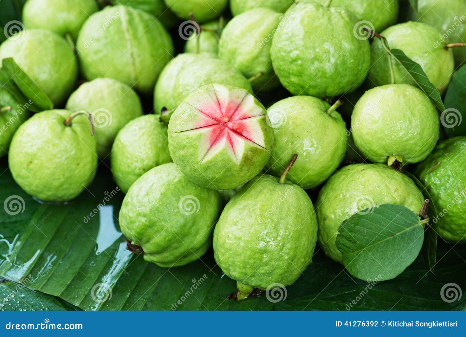 Guava. stock photo. Image of fruit, three, studio, green - 41276392