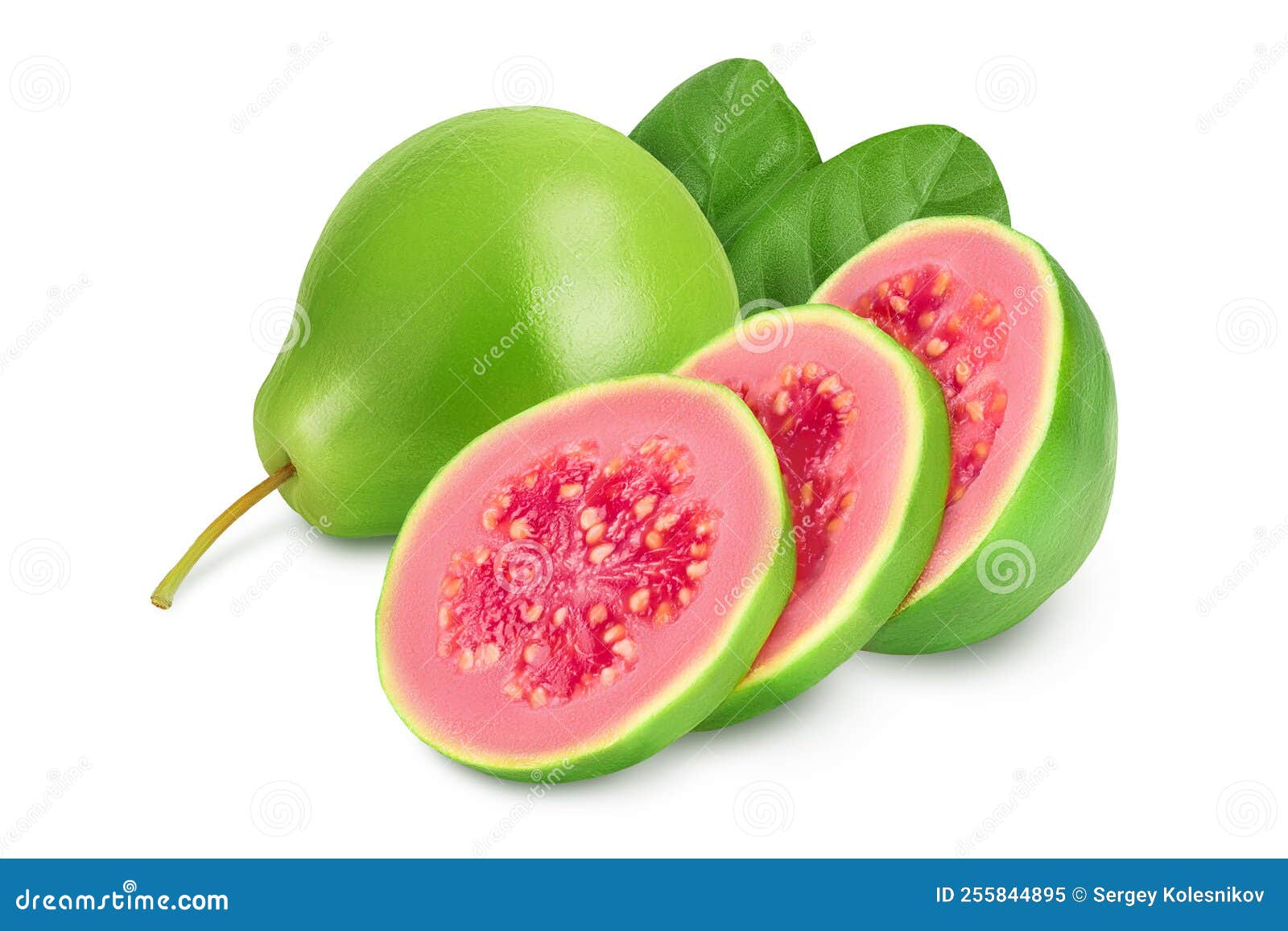 Guava Fruit Slices Isolated on White Background with Full Depth of ...