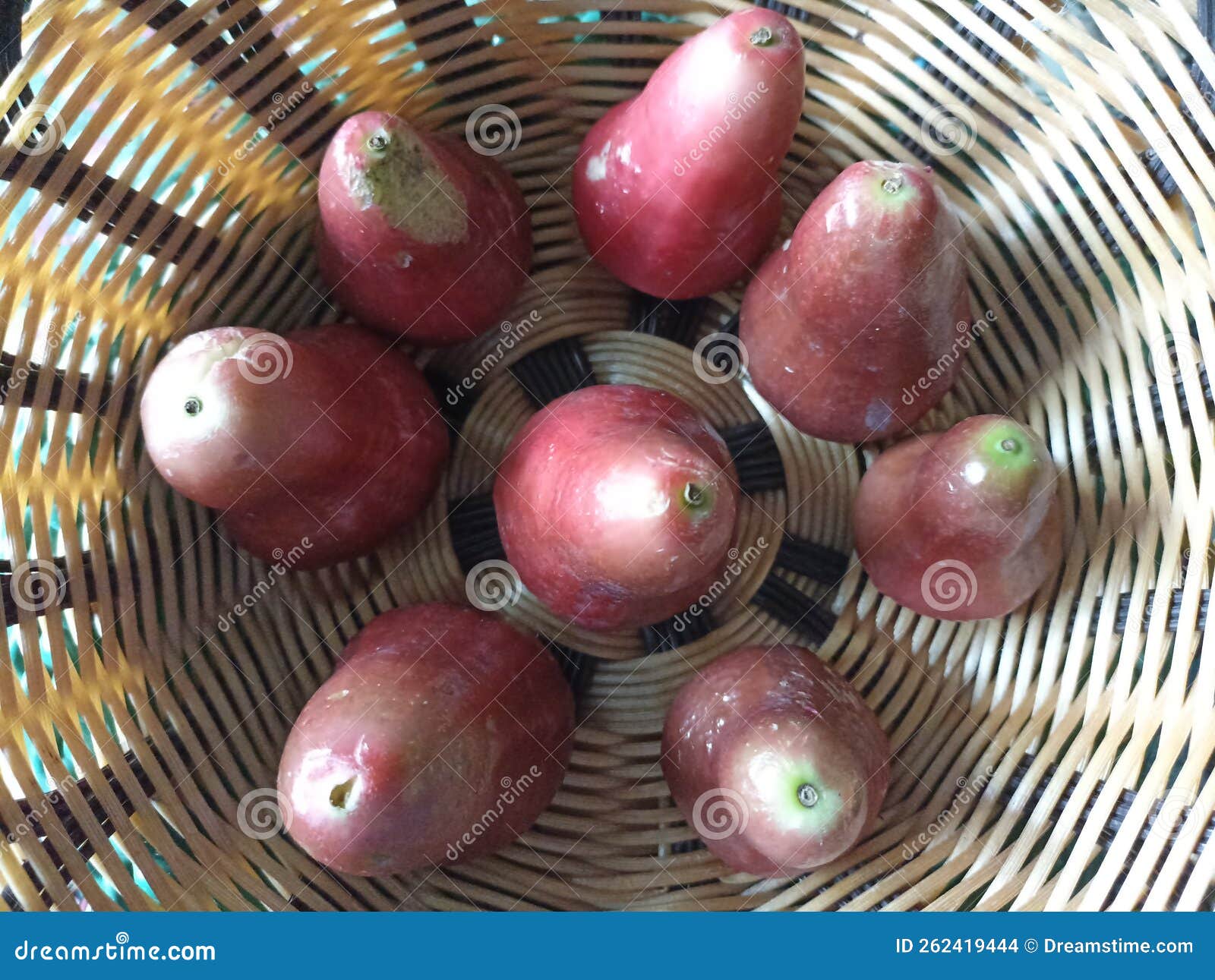 Guava Fruit with a Unique Shape in My Opinion Stock Photo - Image of ...