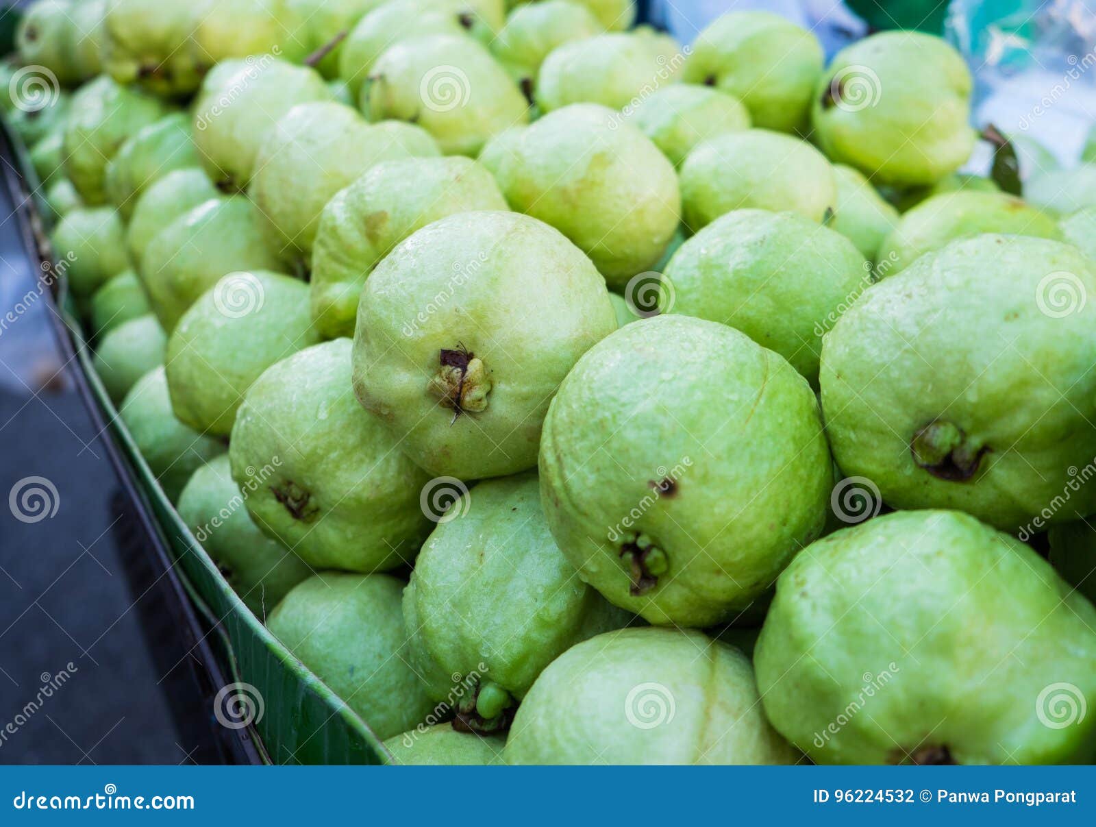 Guava fruits background stock photo. Image of wallpaper - 96224532