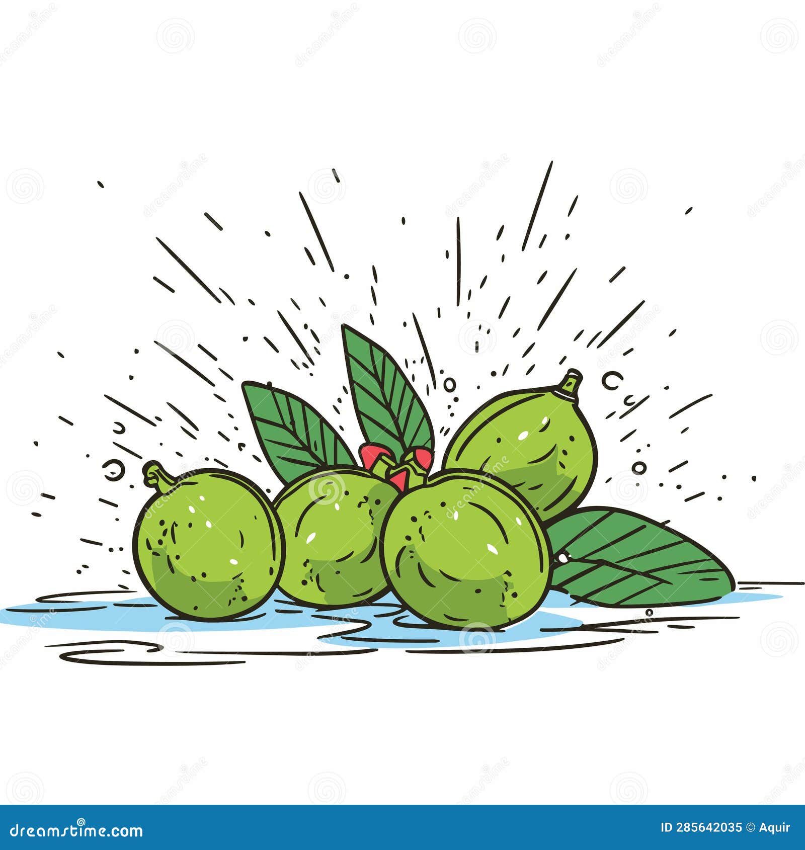 Guava Hand Drawn Illustration. Engraved Botanical Sketch. Vintage Gold ...