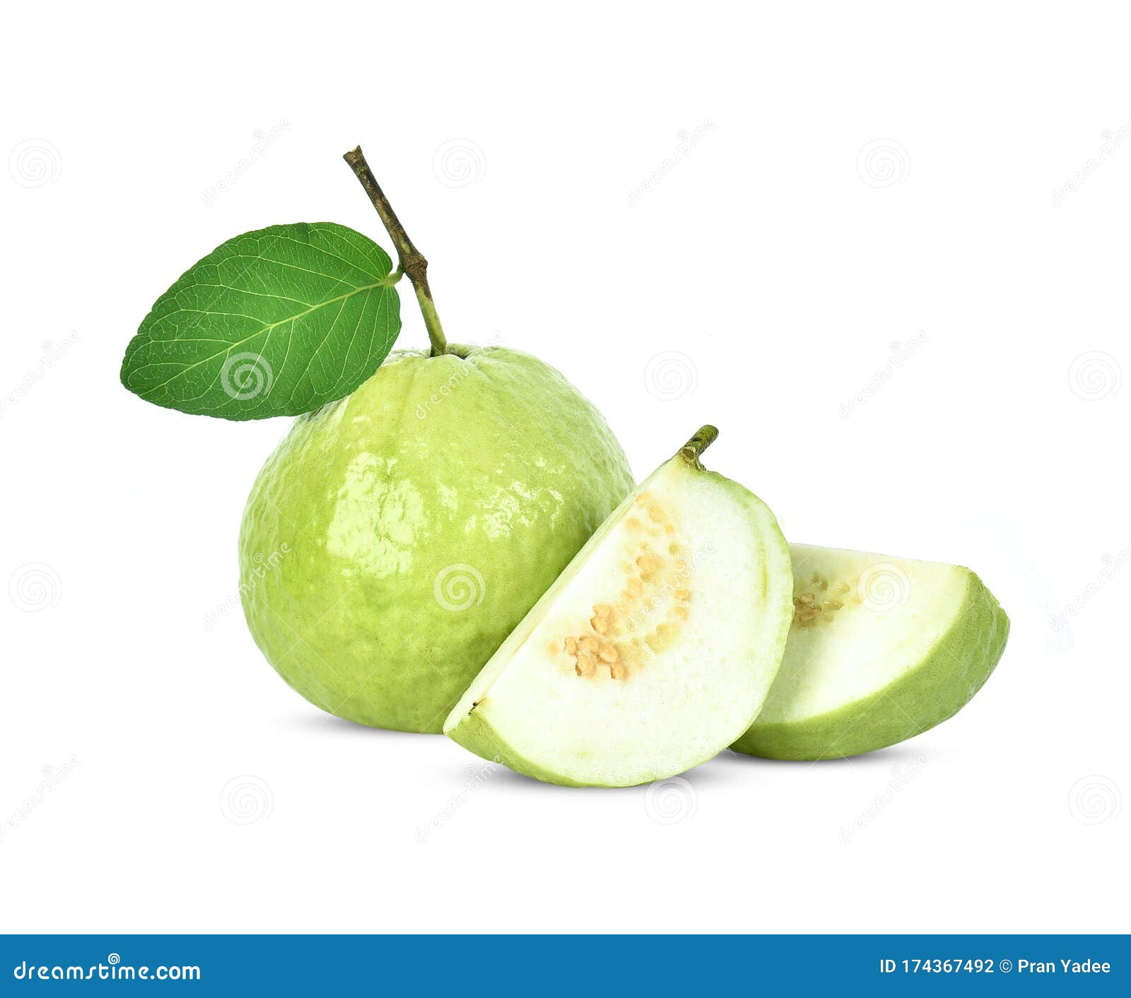 Guava Isolated on White Background Stock Photo - Image of closeup, tree ...