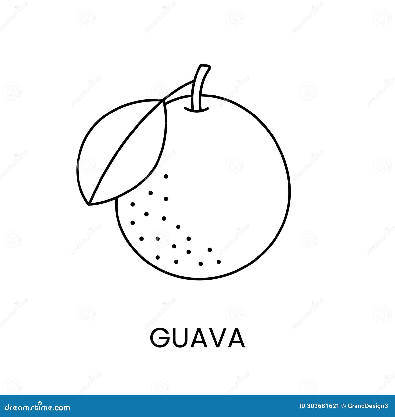 Guava Line Icon in Vector, Fruit Illustration. Stock Vector ...
