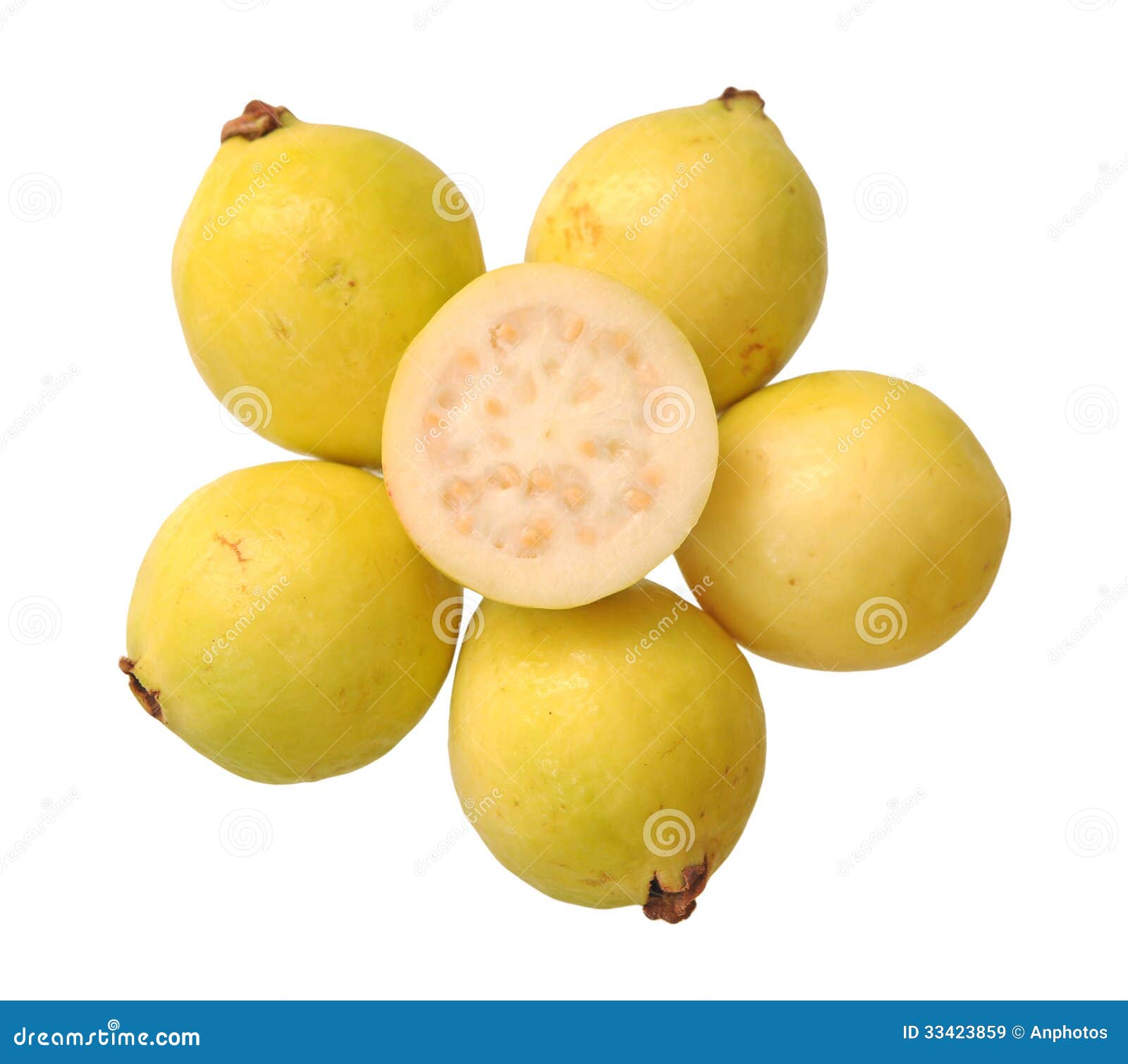 Guava stock image. Image of crunchy, fresh, edible, guava - 33423859
