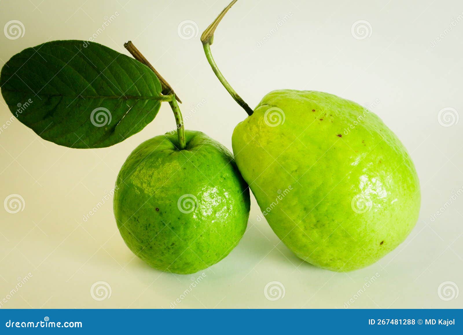 Guava with Pears from the Tree 4 Stock Photo - Image of flower, green ...