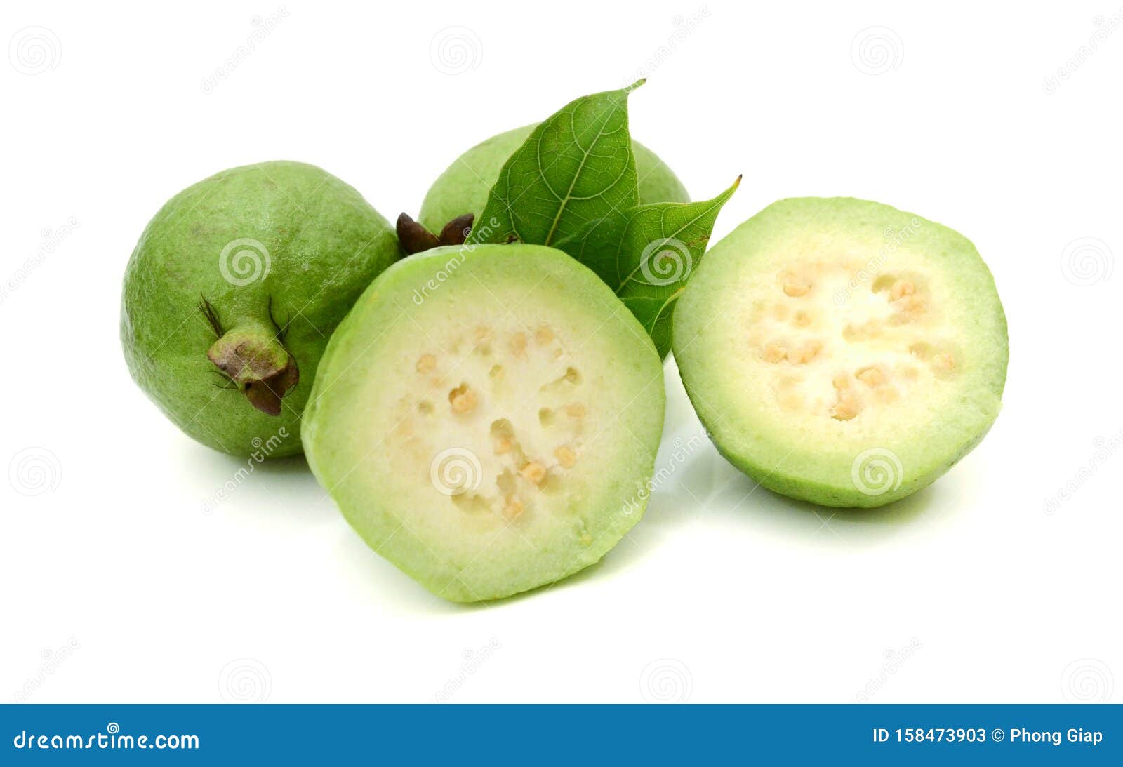Guava Psidium guajava. stock image. Image of nature - 158473903
