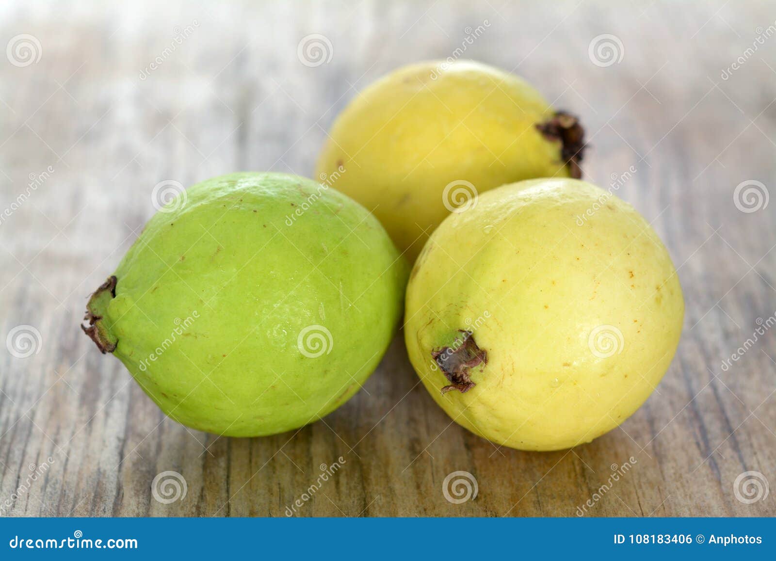 Guava stock photo. Image of fruit, health, exotic, healthy - 108183406