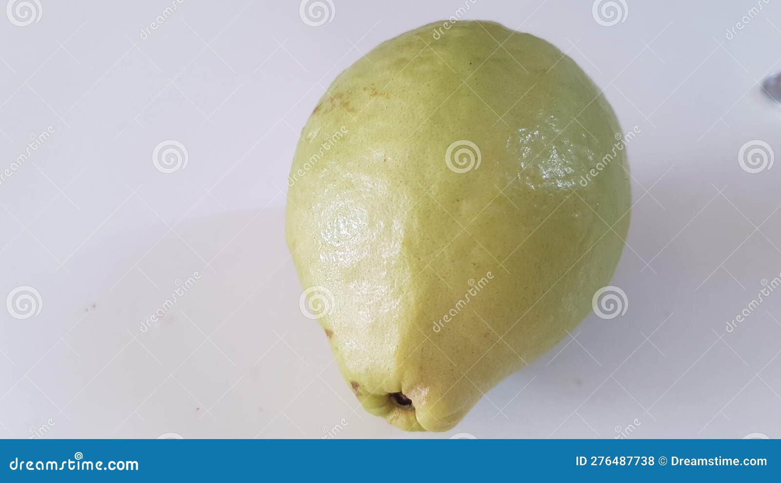 Guava Tree Fruit Fresh Origin Indonesia Plant Stock Photo - Image of ...