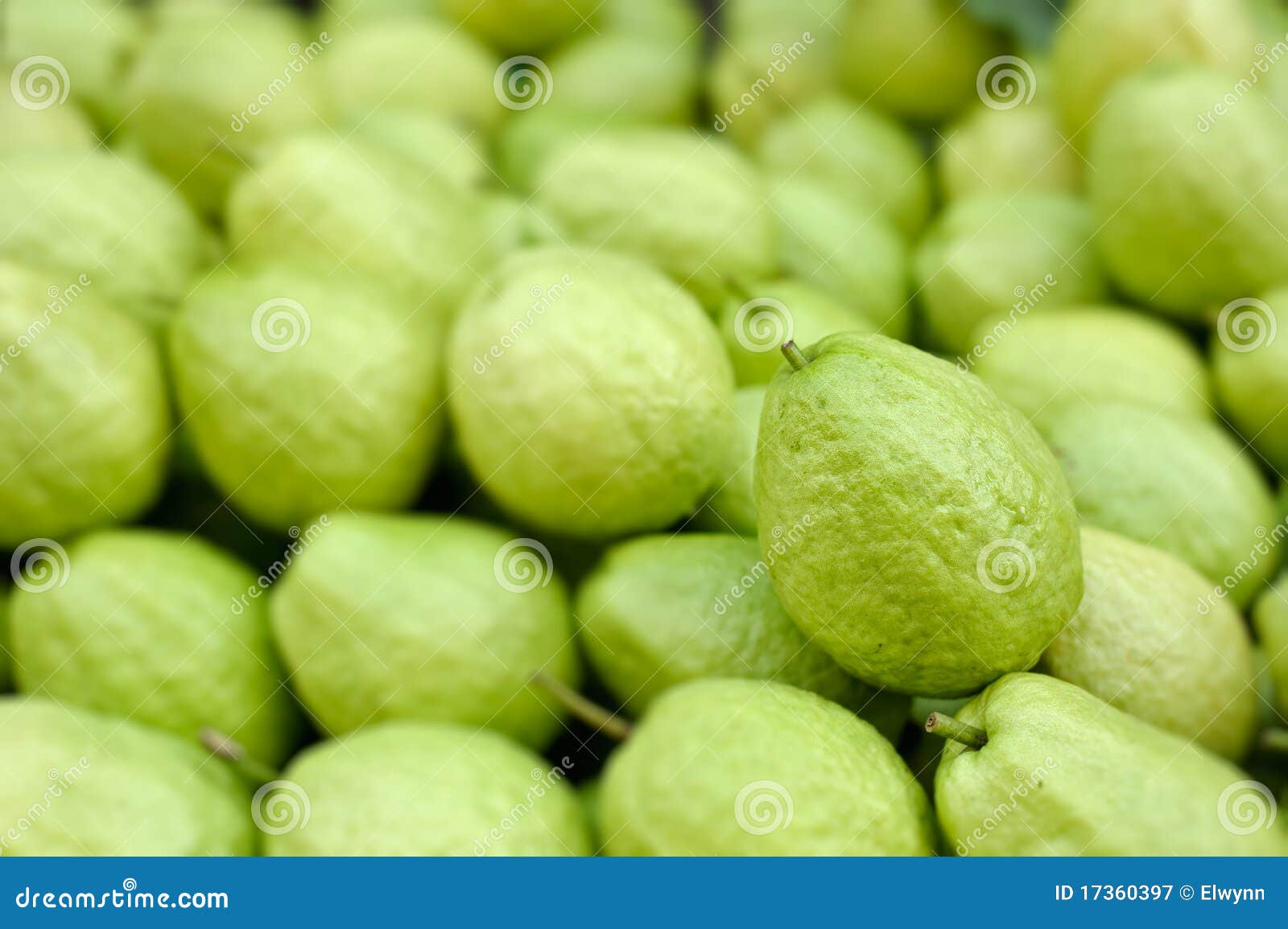 Guavas Royalty Free Stock Photography - Image: 17360397