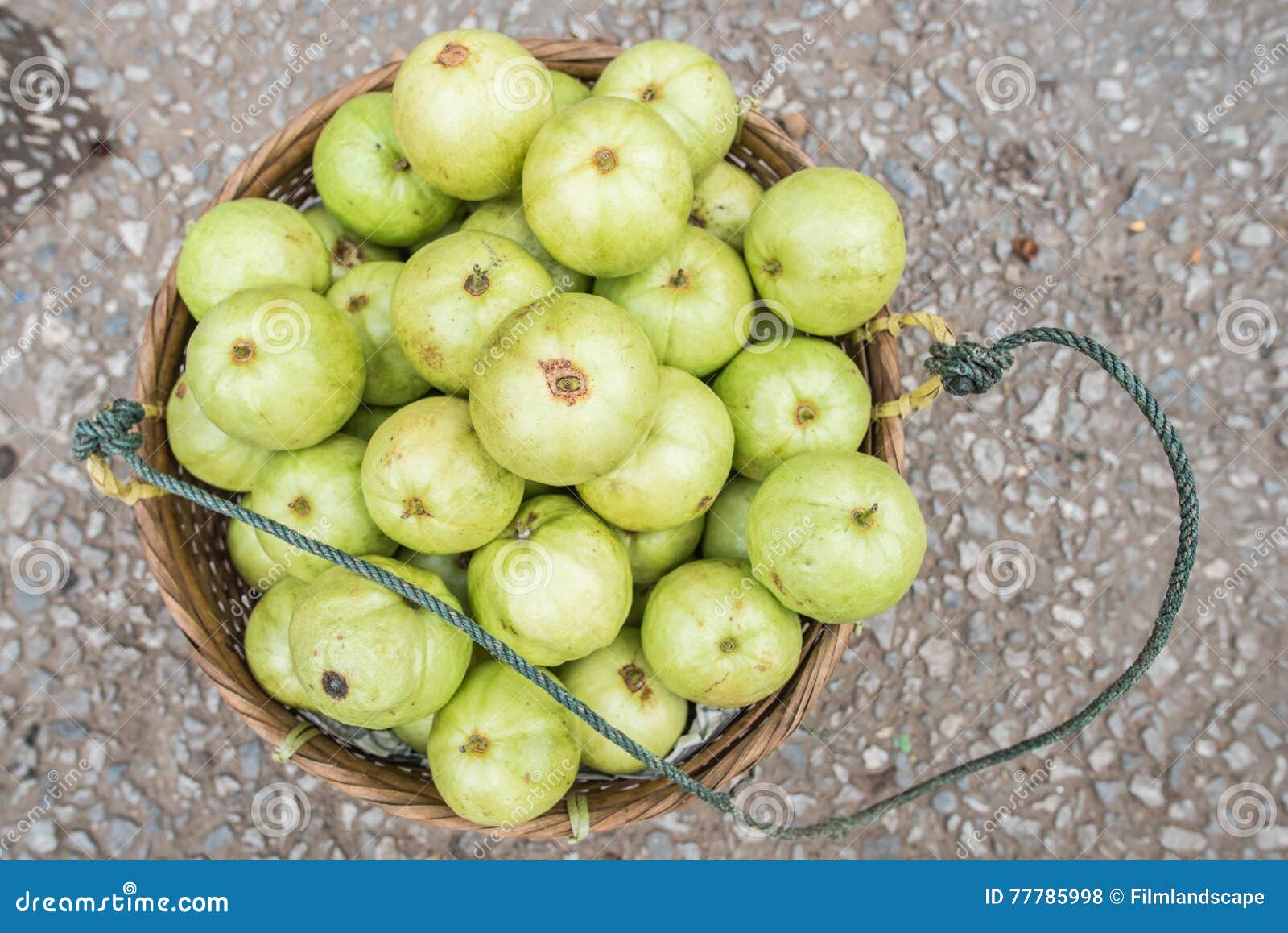 Guavas in the basket stock photo. Image of fruit, local - 77785998