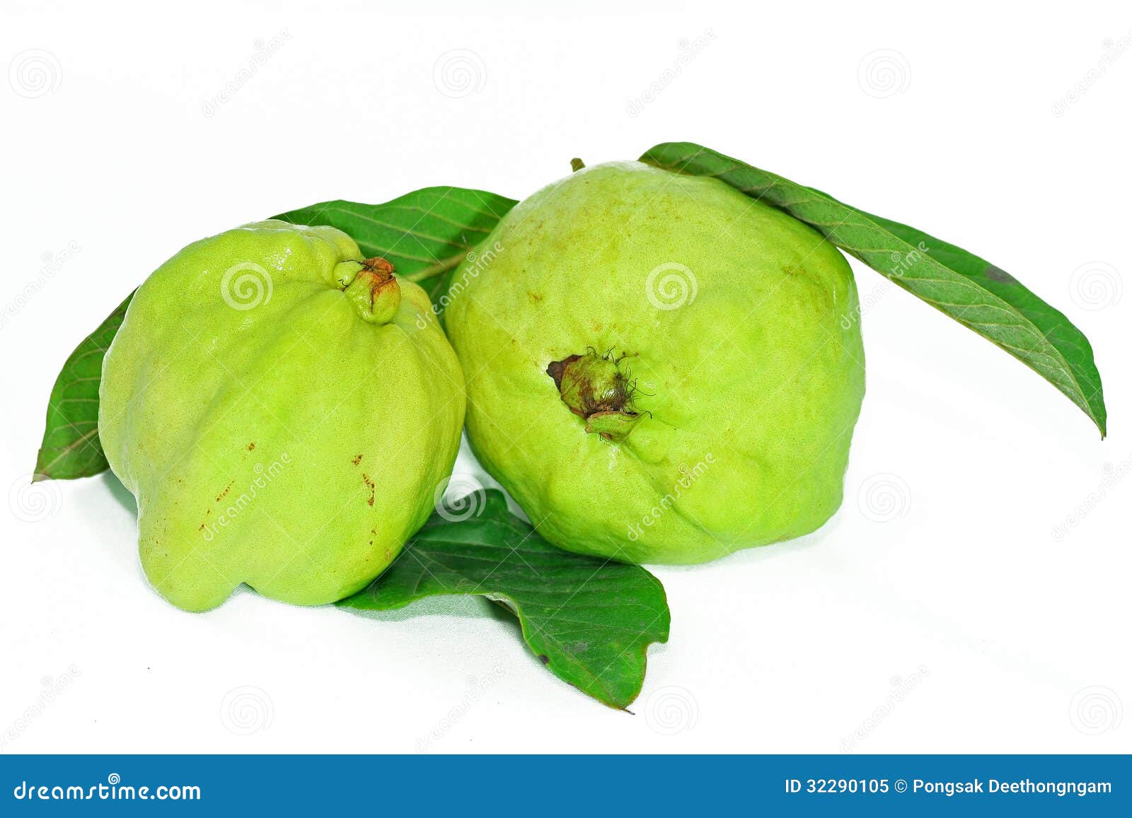 Guave stock afbeelding. Image of organisch, gezond, guave - 32290105