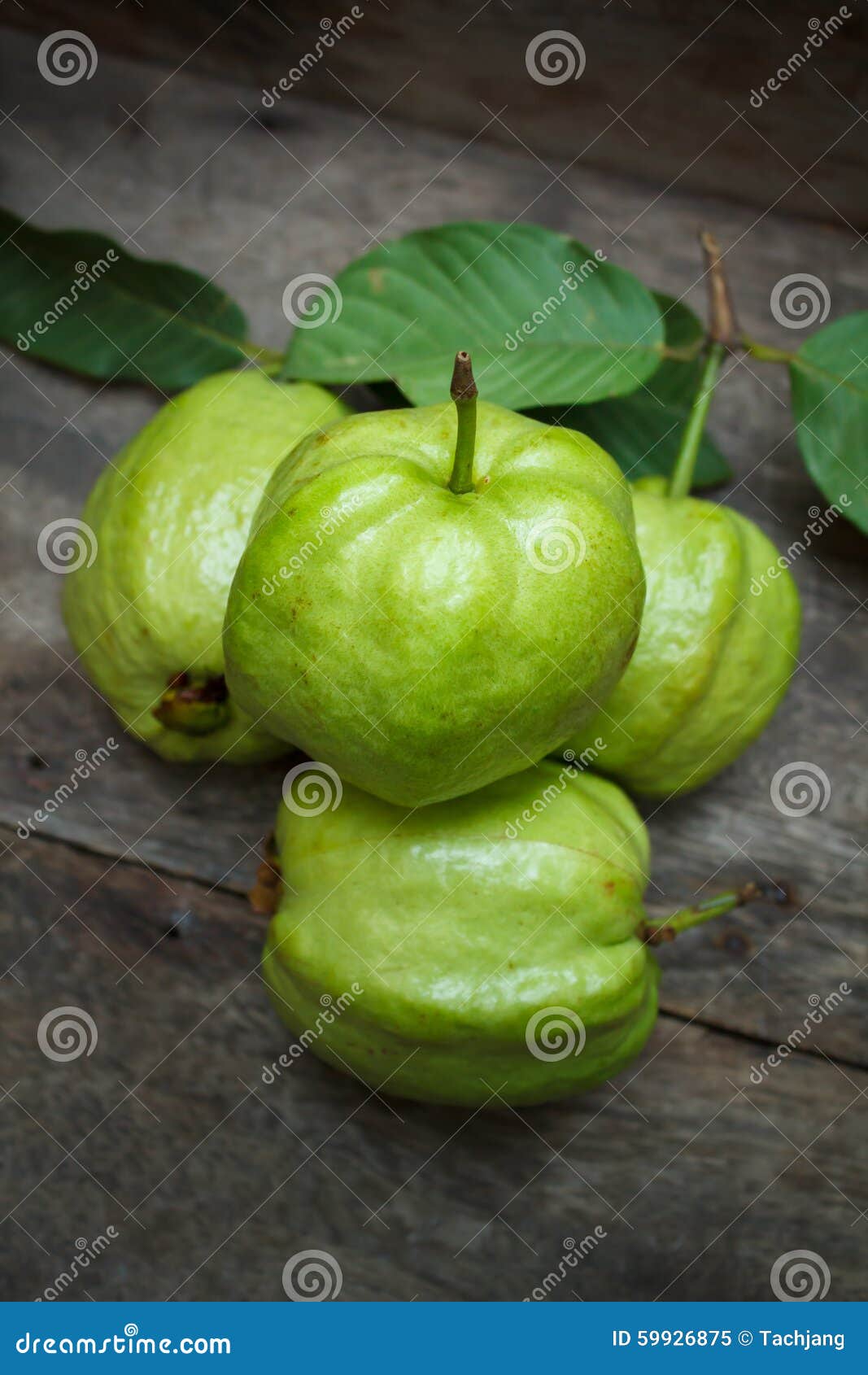 Guave stock afbeelding. Image of dieet, vers, achtergrond - 59926875