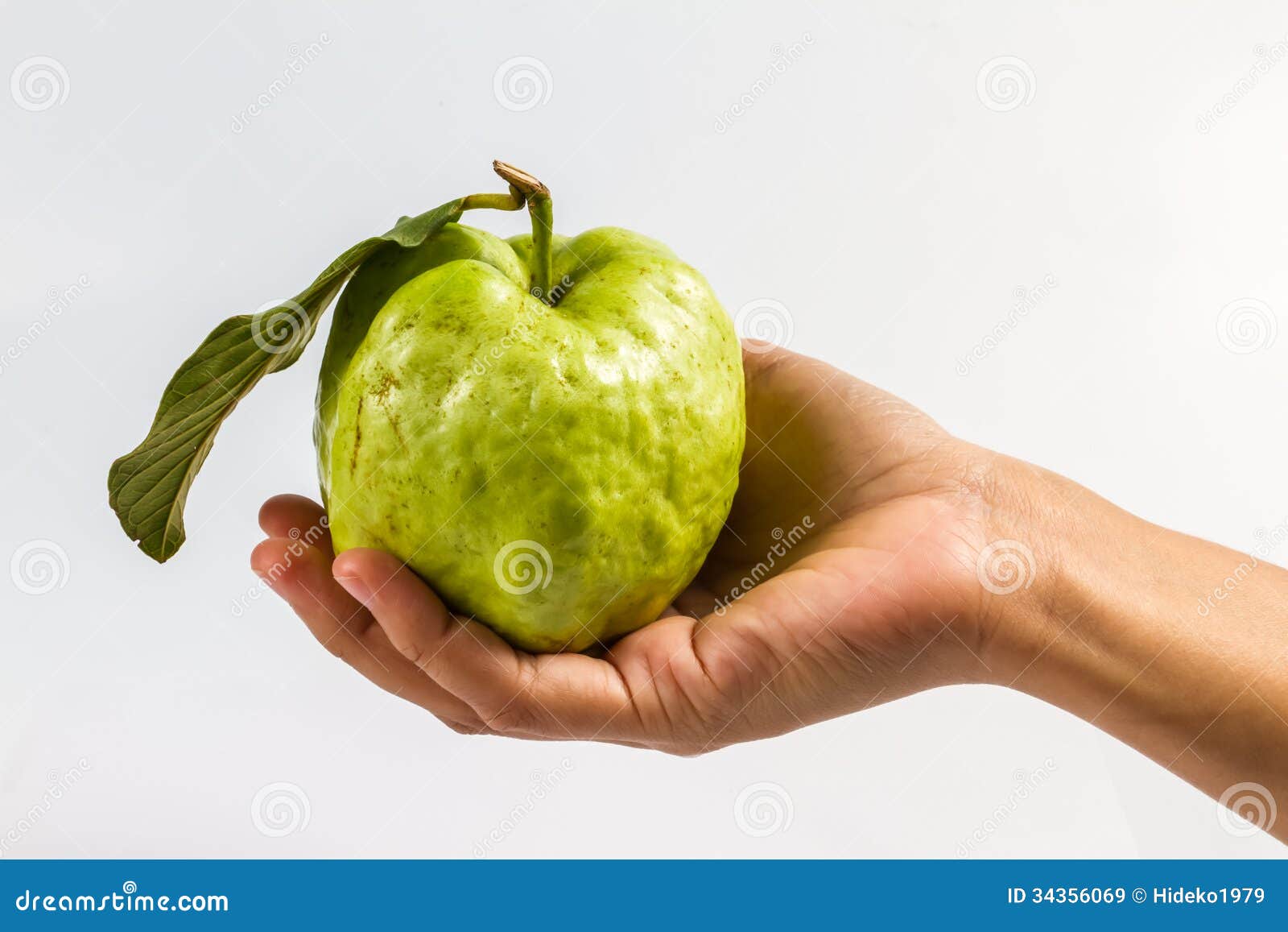 Guave (tropische Frucht) in Der Hand Stockbild - Bild von asien ...