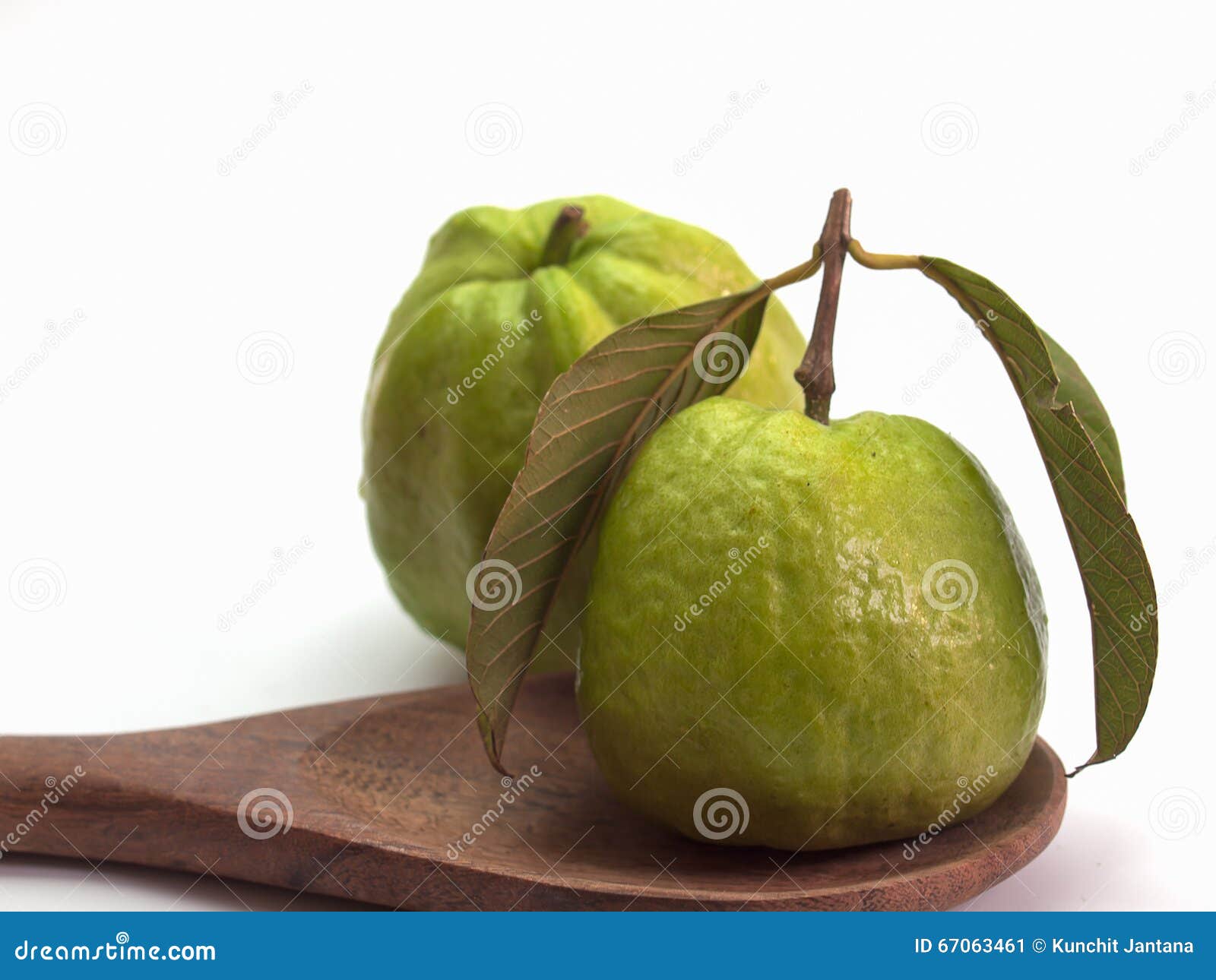 Guaven, Gruppe Frucht stockbild. Bild von grün, tropisch - 67063461