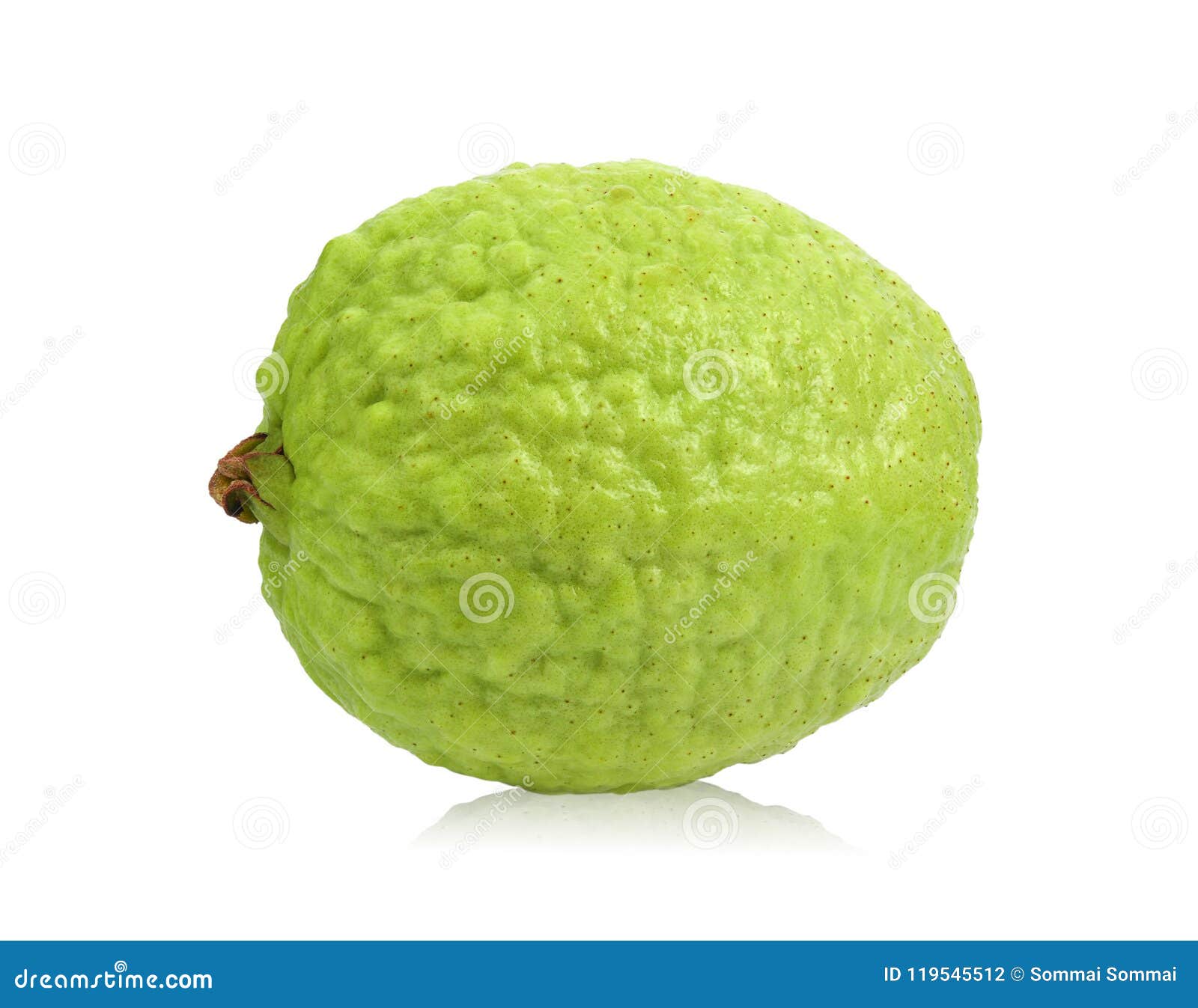 Guayaba Aislada En El Fondo Blanco Foto de archivo - Imagen de fondo ...