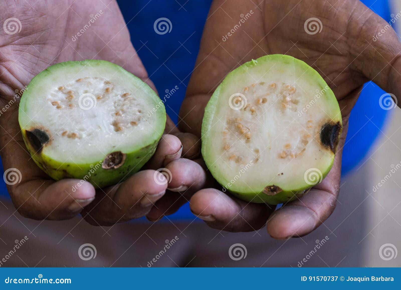 Guayaba Cortada Por La Mitad Imagen de archivo - Imagen de macro, dieta ...