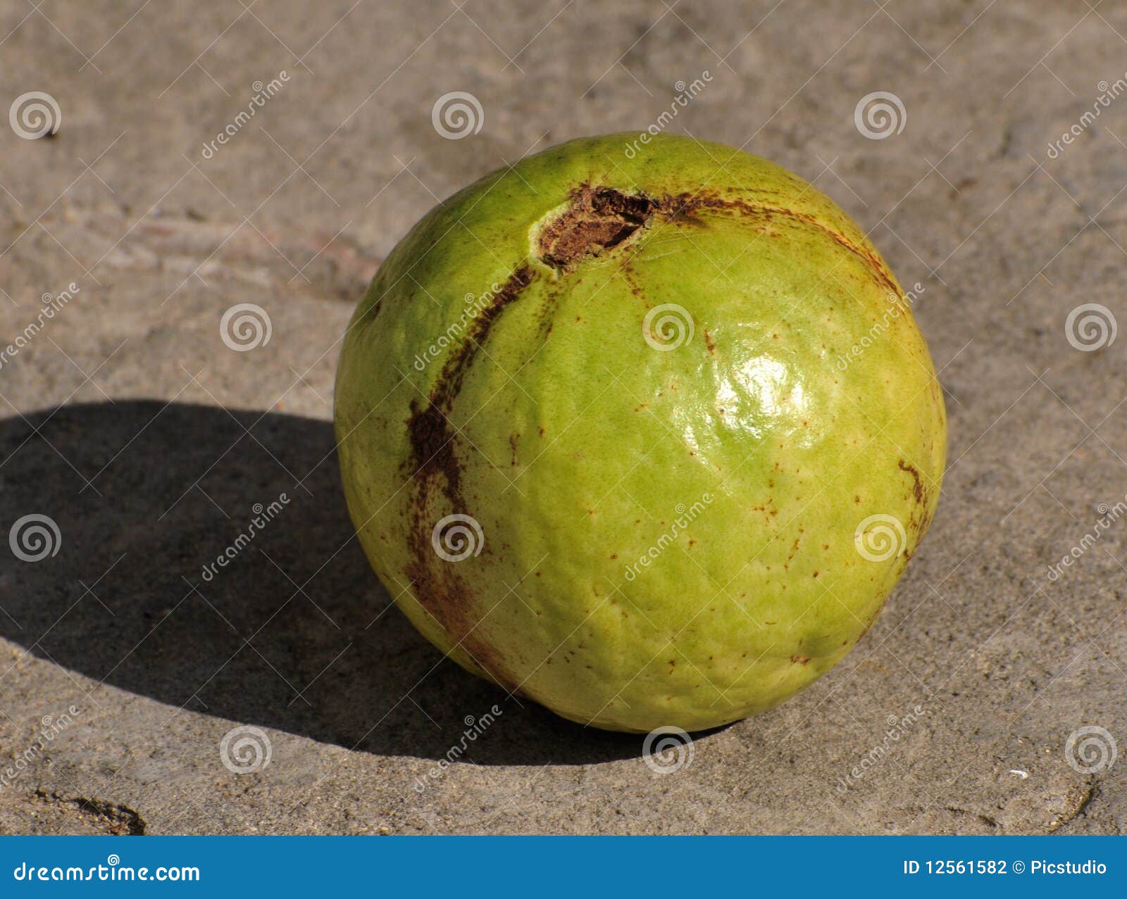 Guayaba verde foto de archivo. Imagen de verde, salud - 12561582