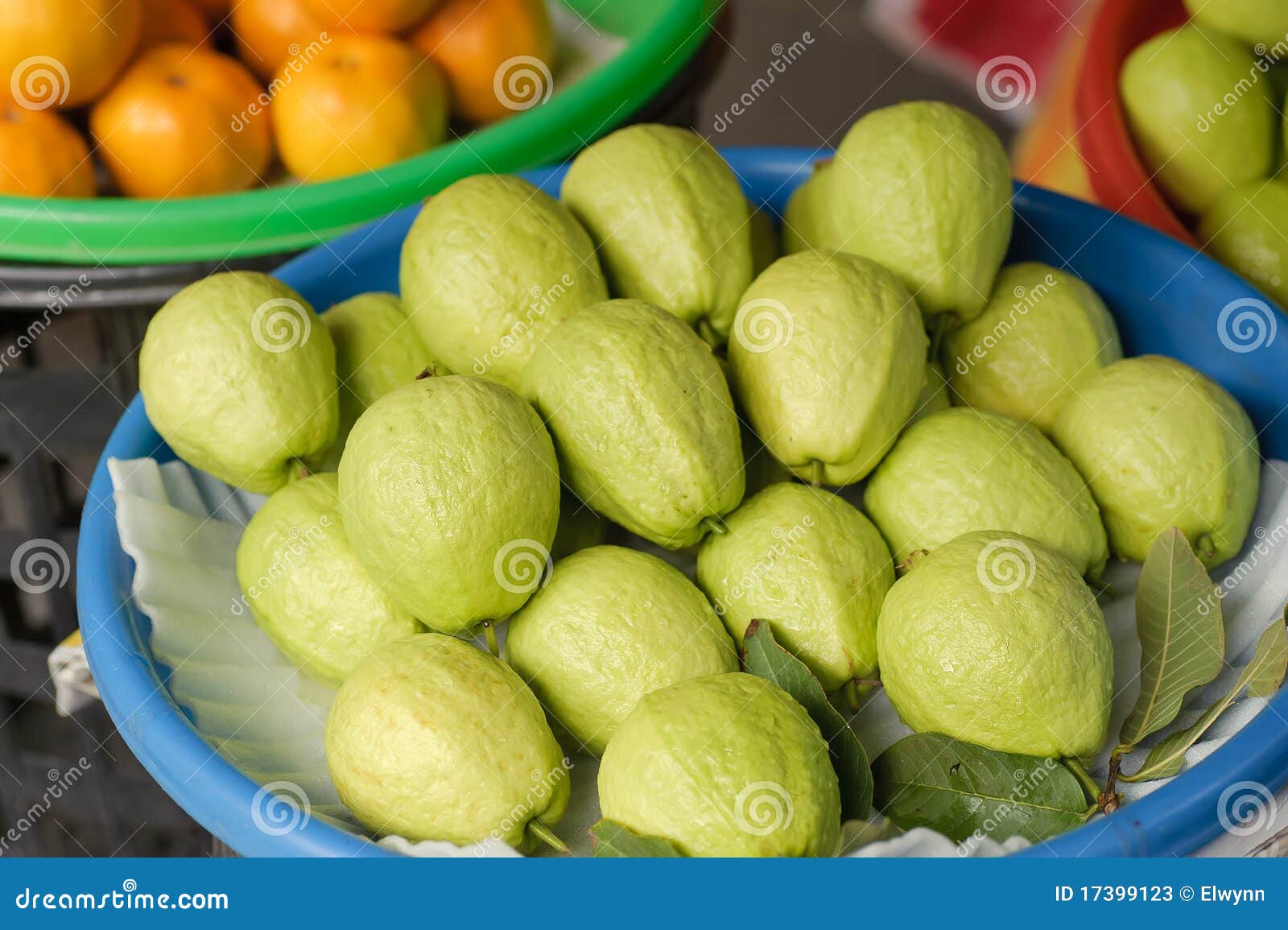 Guayabas imagen de archivo. Imagen de grupo, travieso - 17399123
