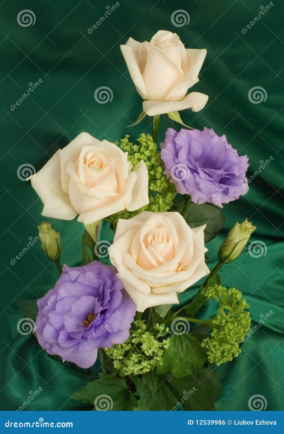 Guelder-rose stock photo. Image of composition, bouquet - 12539986