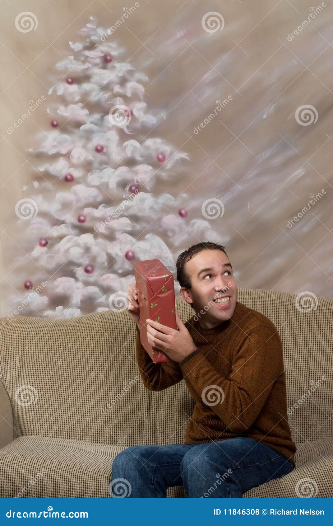 Guess the Present stock photo. Image of guessing, smiling - 11846308