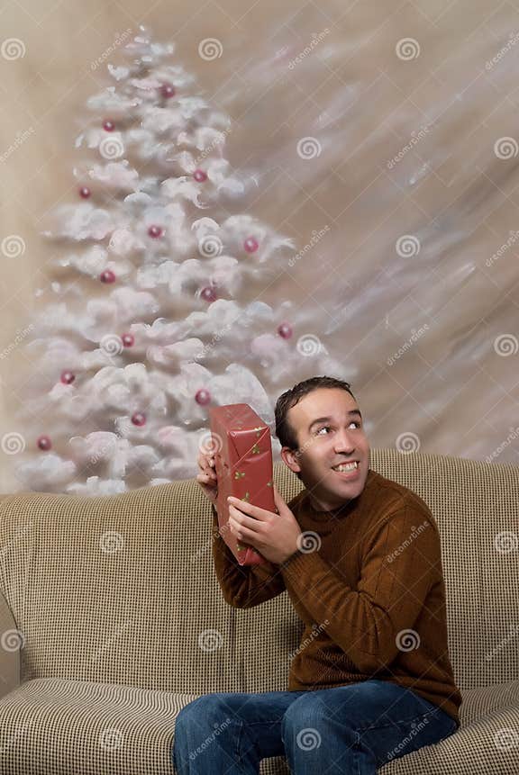 Guess the Present stock photo. Image of guessing, smiling - 11846308